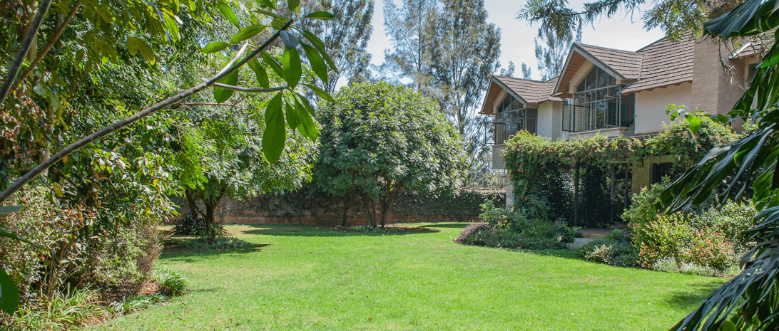 The Basics of Land Ownership in Kenya - Eden Heights Realty